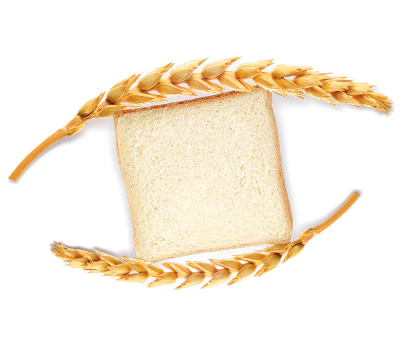 About Ajit – Ajit Bakery
